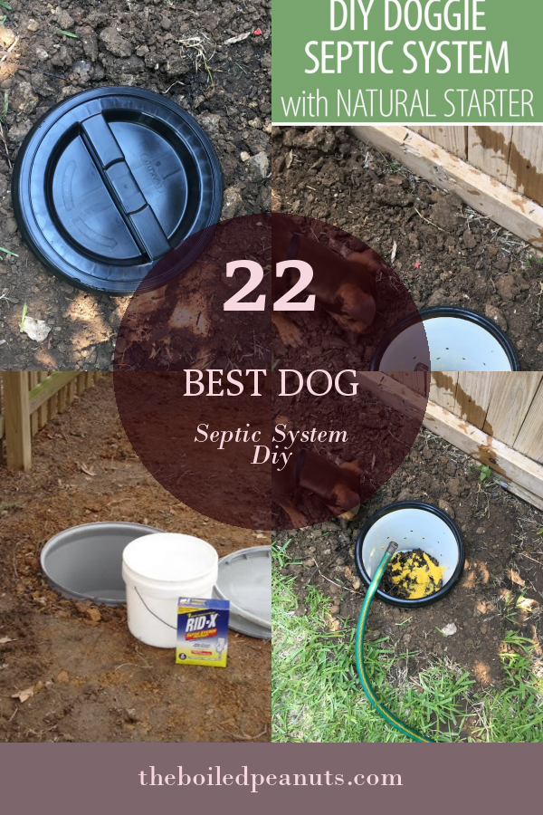 How To Make A Dog Poop Septic Tank at Marylynn Boucher blog
